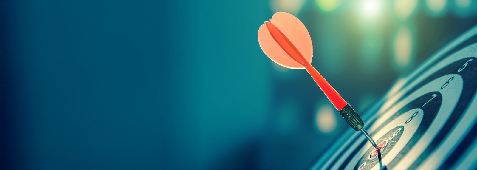 Improved Ad Spend ROI with Precise Audience Targeting - Dun & Bradstreet Improved Ad Spend ROI with Precise Audience Targeting - Dun & Bradstreet
